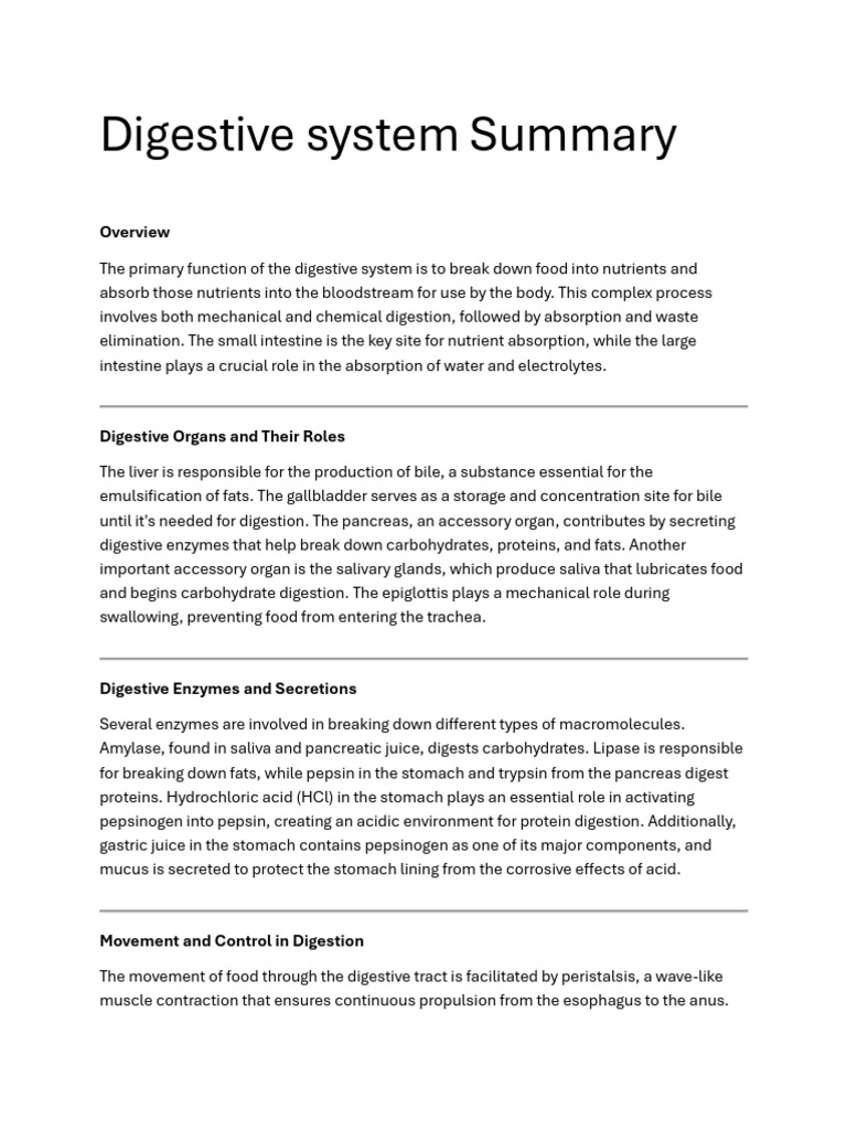 Grade 12 AB Digestive System Summary | PDF | Human Digestive System ...