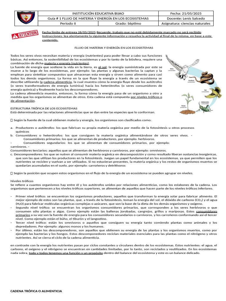 Flujo de Energía en Los Ecosistemas 7°A | PDF | Red alimentaria | Biología