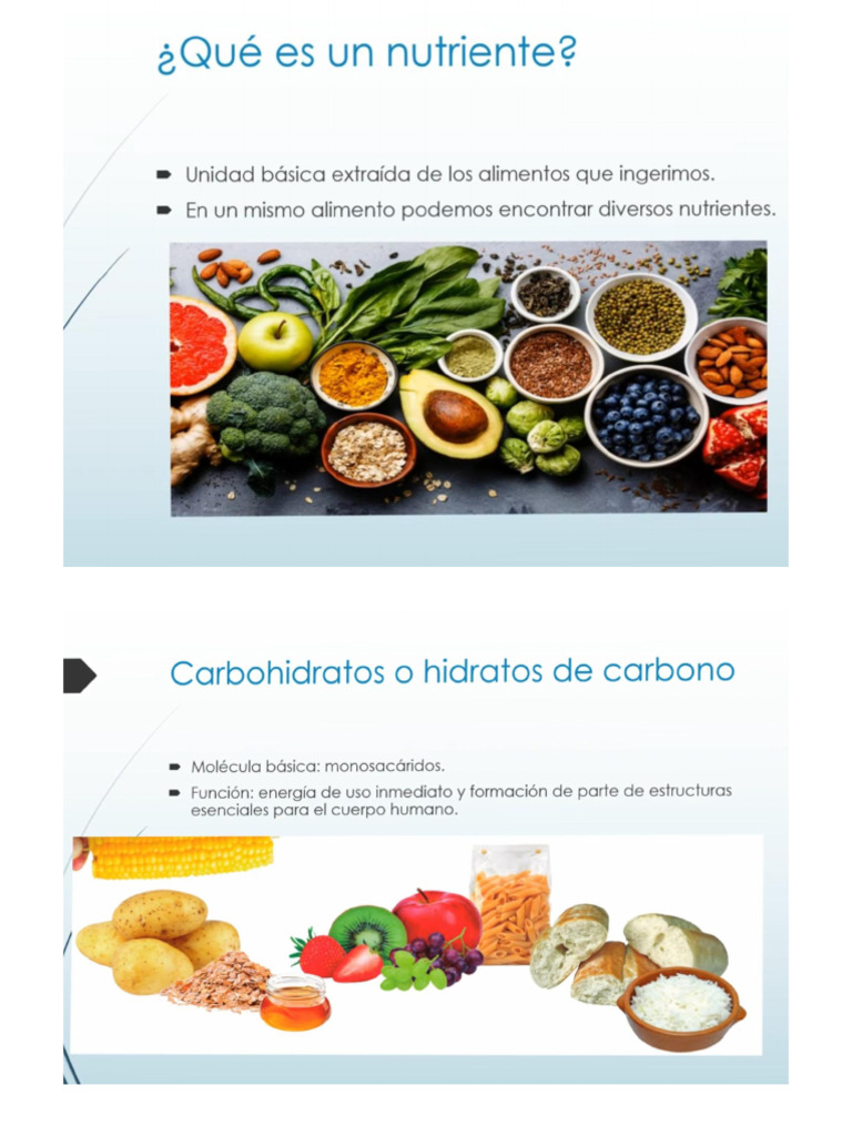 Nutrientes: Tipos y Funciones Esenciales | PDF
