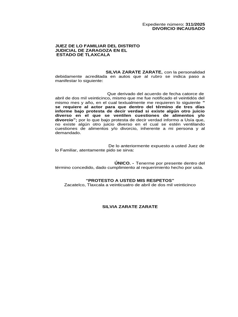 Requerimiento Silvia Zarate | PDF
