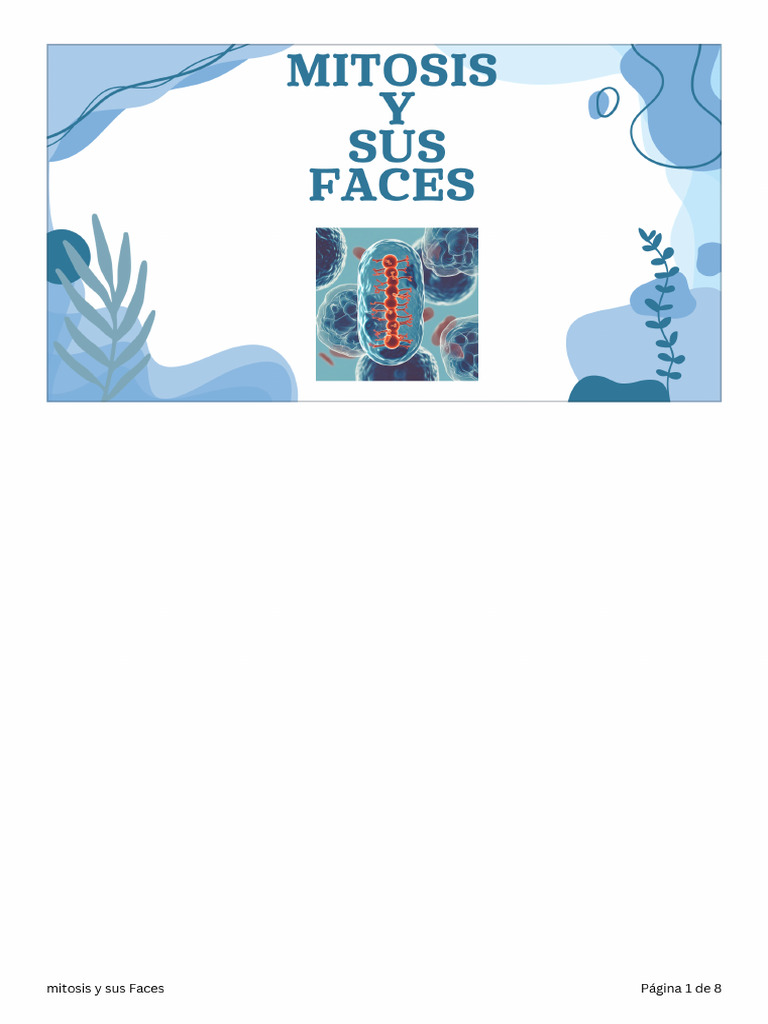 Mitosis y Sus Faces - 20250514 - 202644 - 0000 | PDF