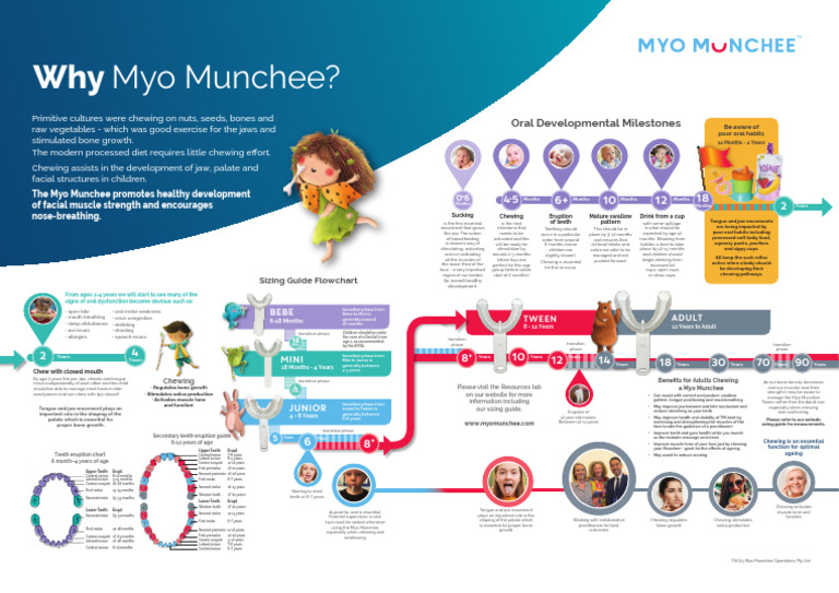 Myo Munchee Sizing and Benefits Guide | PDF | Tooth | Primate Anatomy