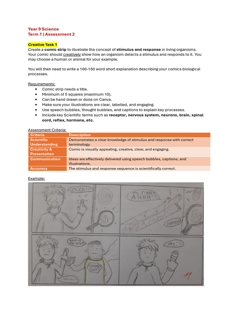 Science Comic Research Task | PDF | Neuron | Nervous System