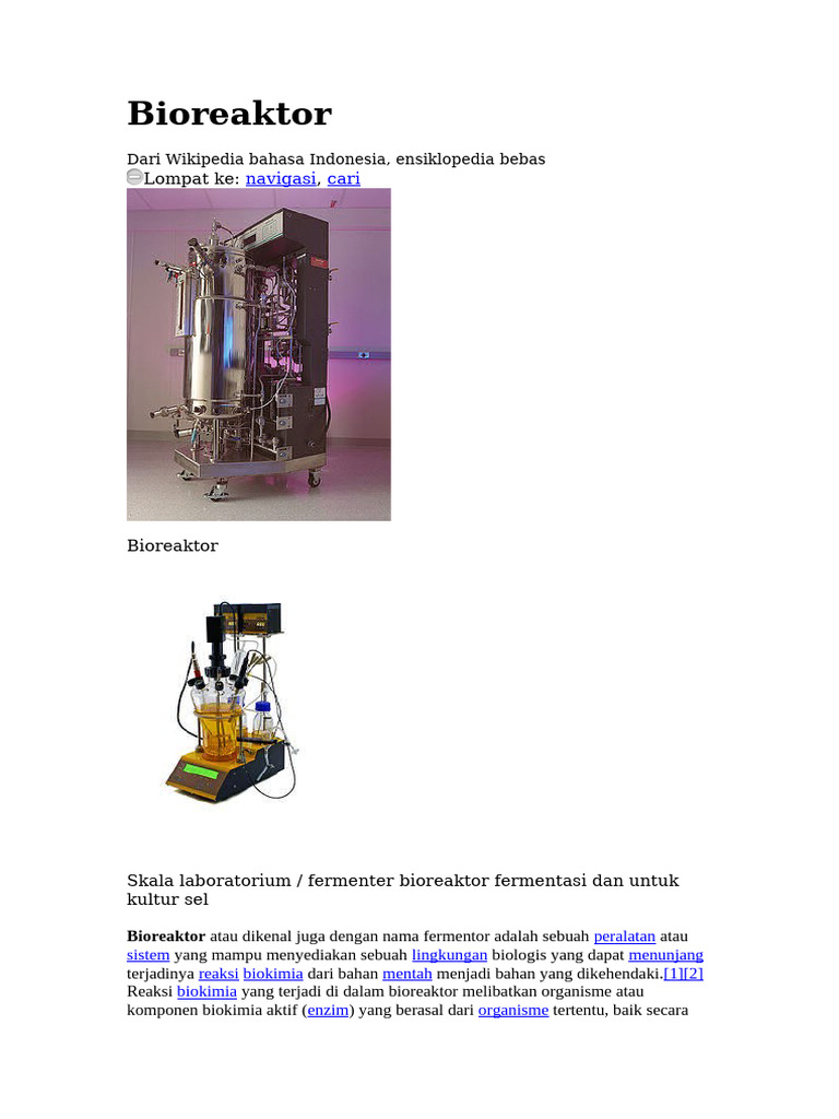 Bio Reaktor | PDF