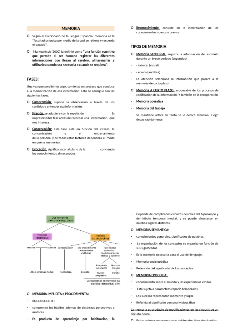 Fases y Tipos de Memoria Humana | PDF | Memoria | Funciones ejecutivas