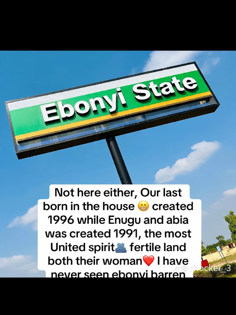 PDF Phoenix 20250610 012745 | PDF