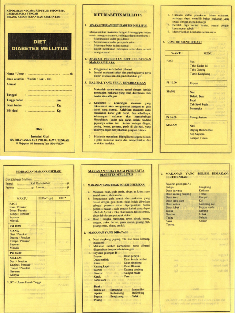 Leaflet Diet DM | PDF