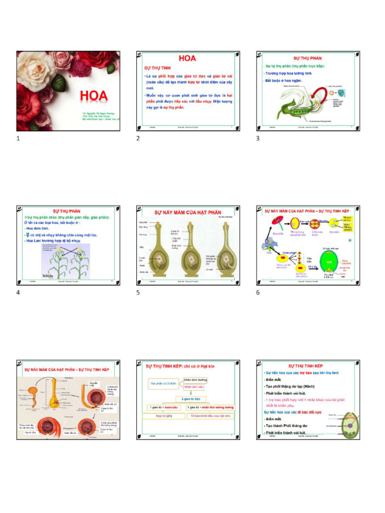 HKH Qu H T 2025 | PDF