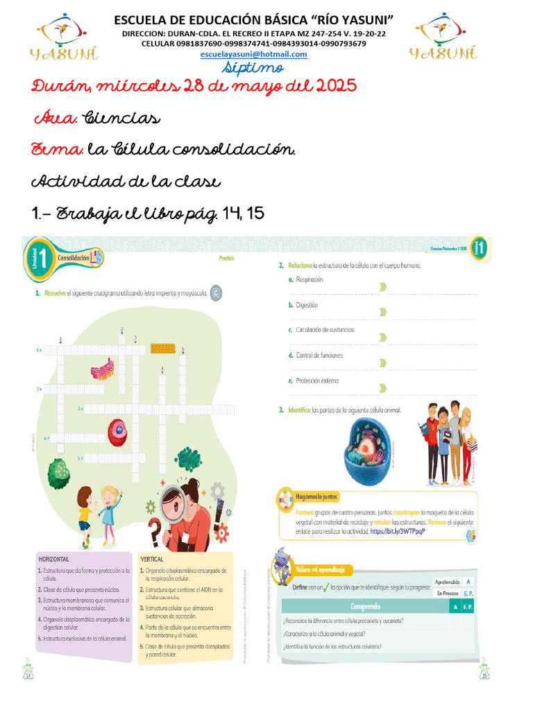 7mo CCNN 1 UNIDAD 2 SEMANA 28-05 | PDF