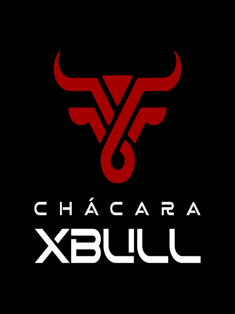 Xbull 1 | PDF
