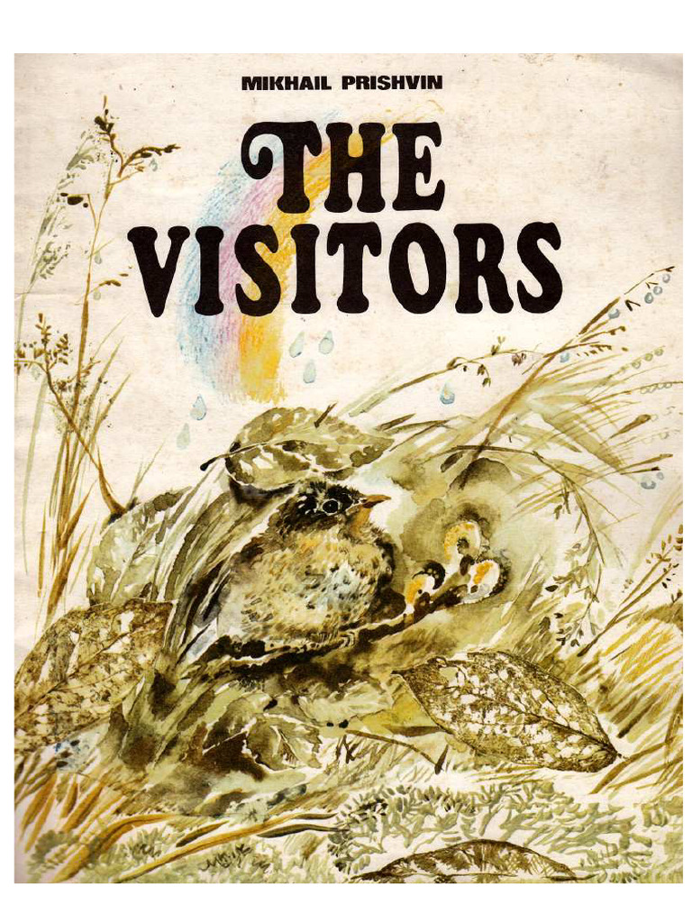 S Visitors | PDF