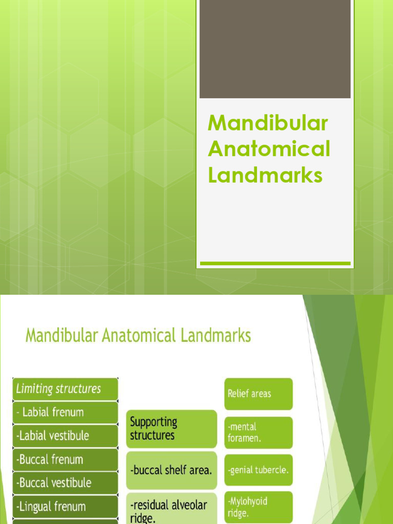 Mandibular Anatomical Landmarks Guide | PDF | Dentures | Tongue
