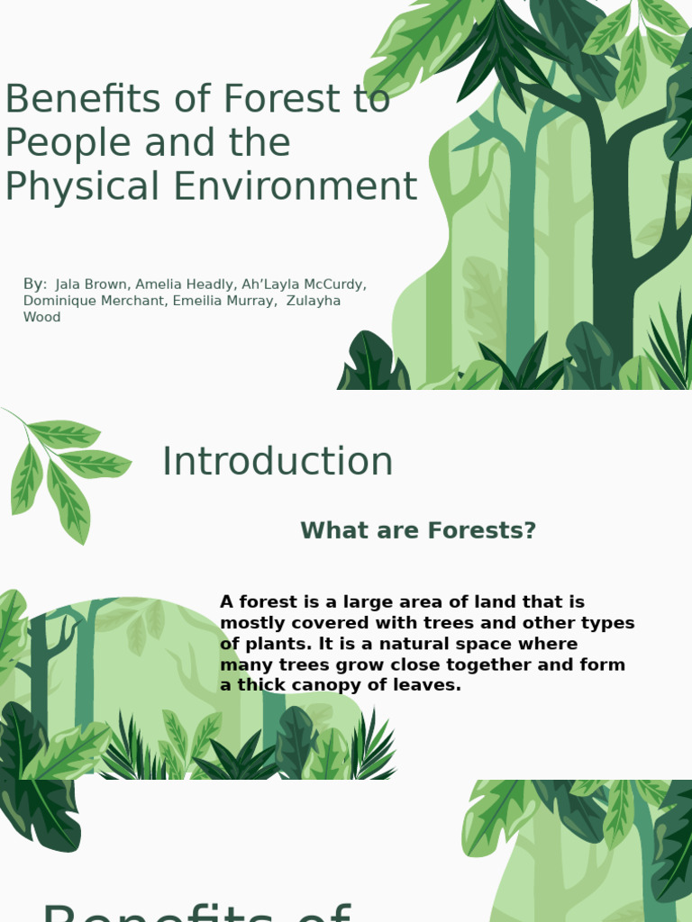 Benefits of Forrests To People and The Physical Environment | PDF ...