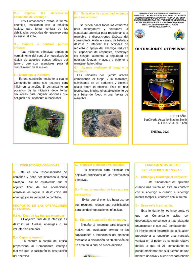 Triptico 1 | PDF | Militar | Conflictos