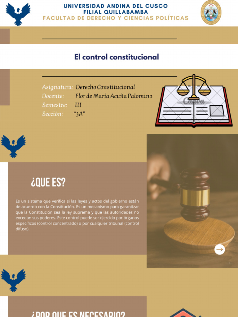 Control Constitucional | PDF