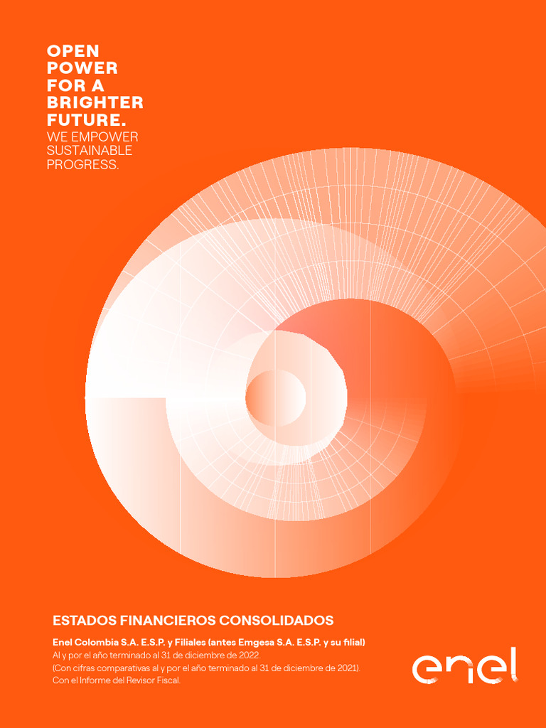EEFF 2022 Enel Colombia SA ESP y Filiales Consolidado | PDF | Auditoría | Estado financiero