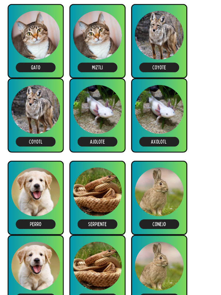 Colorful Landscapes Vocabulary Memory Game Flashcards | PDF