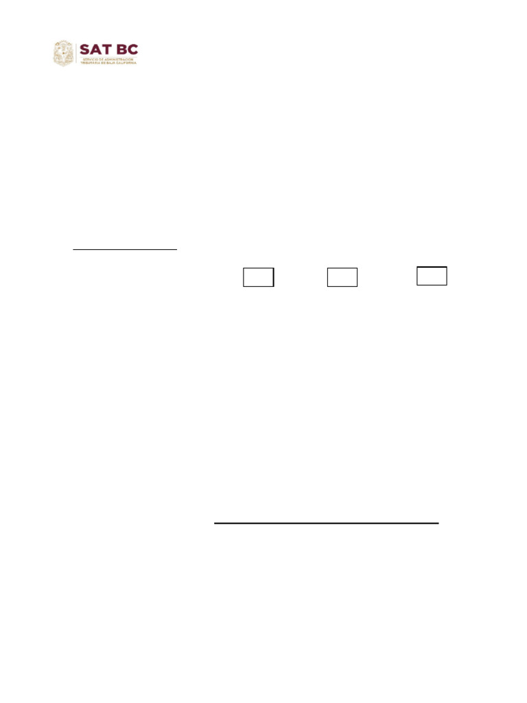 Formato de Extravío | PDF