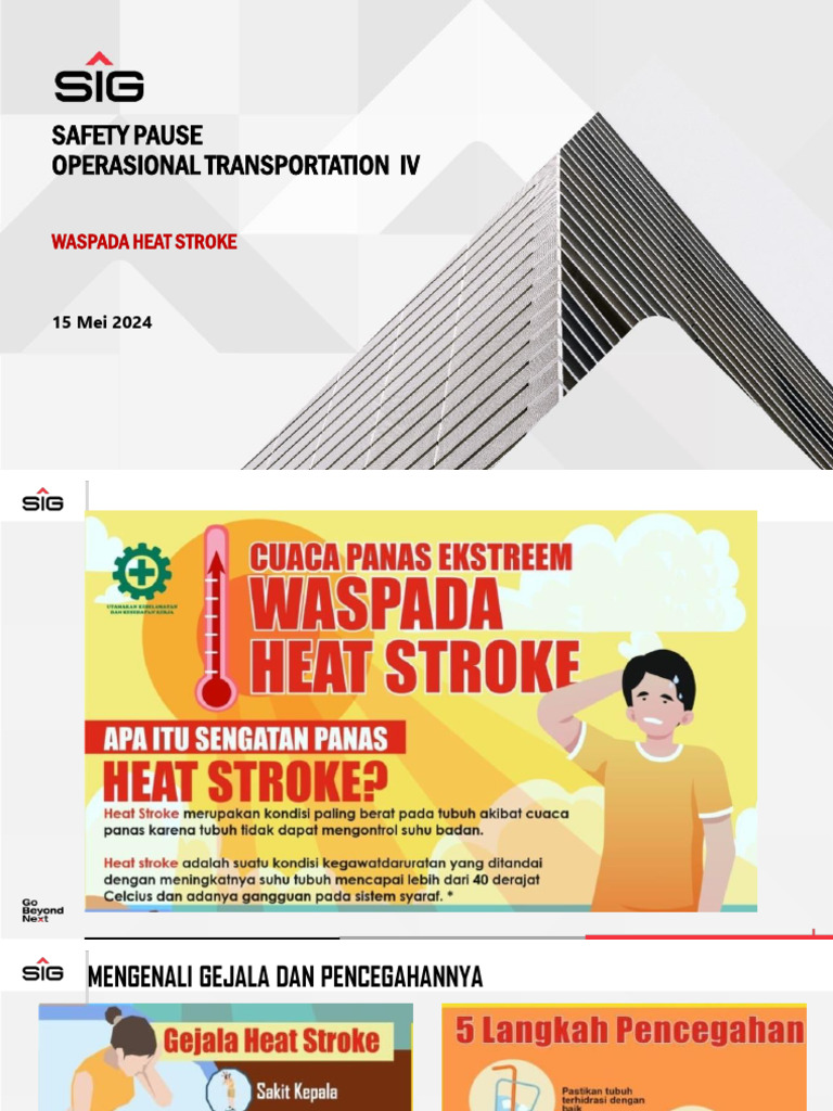 Waspada Heat Stroke | PDF
