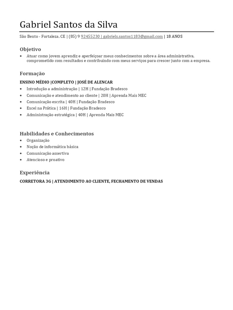 Curriculo Gabriel | PDF