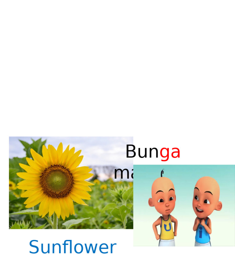 Bunga Matahari | PDF