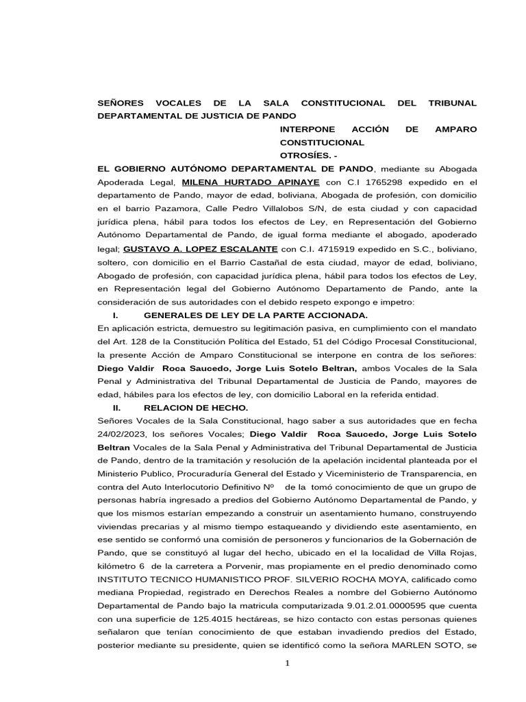 Accion de Amparo Constitucional | PDF | Caso de ley | Ley procesal