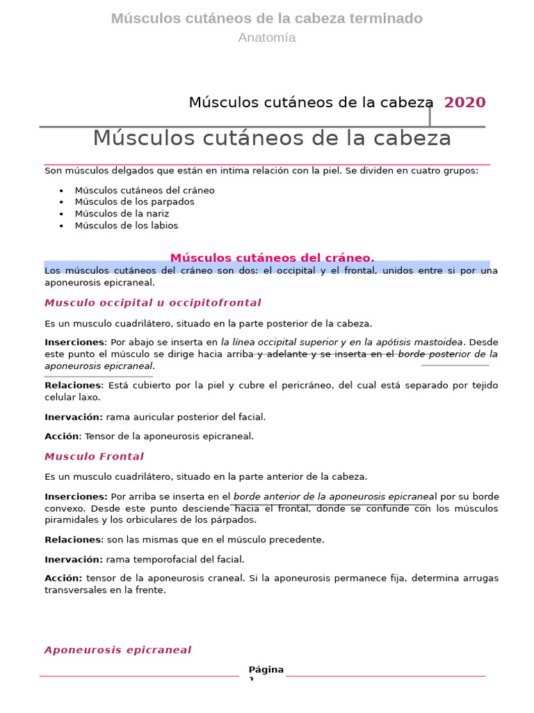 MÚSCULOS CUTÁNEOS DE LA CABEZA | PDF | Nariz humana | Anatomía humana