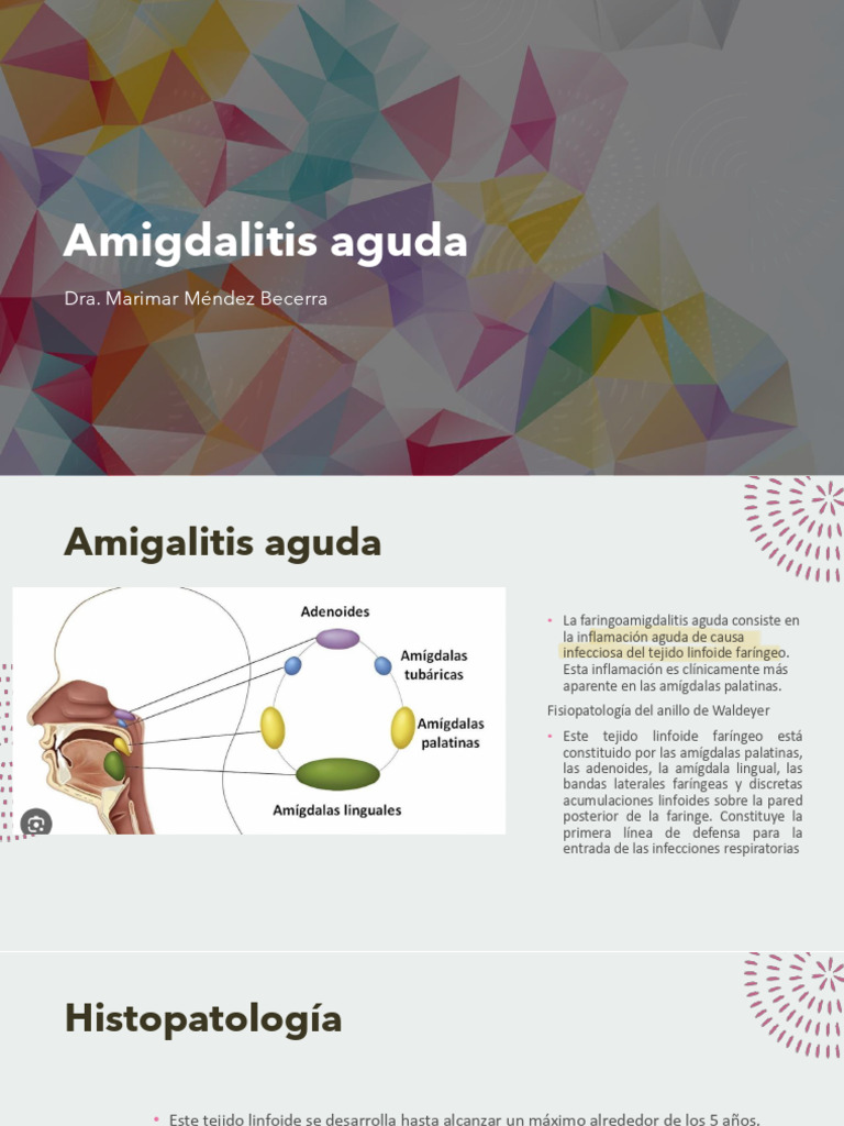 Amigdalitis | PDF | Enfermedades y trastornos | Enfermedades y trastornos humanos