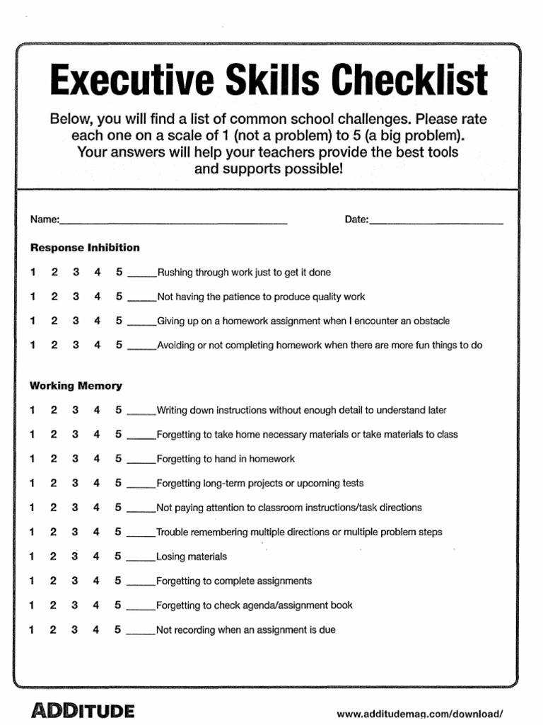 Main Executive Skills Checklist | PDF | Goal | Metacognition