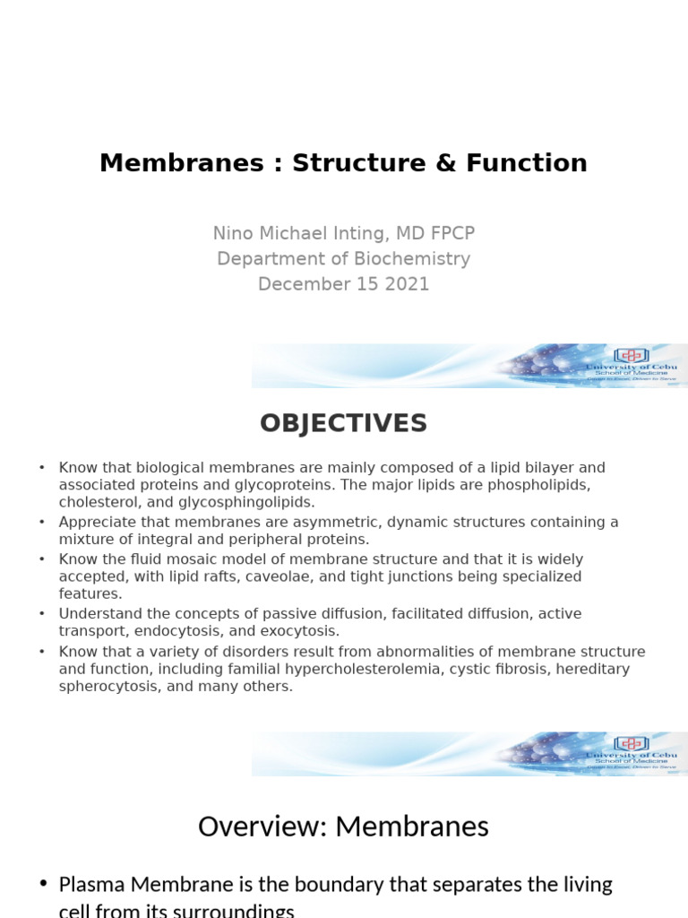 Membrane Structure and Function Overview | PDF | Cell Membrane ...
