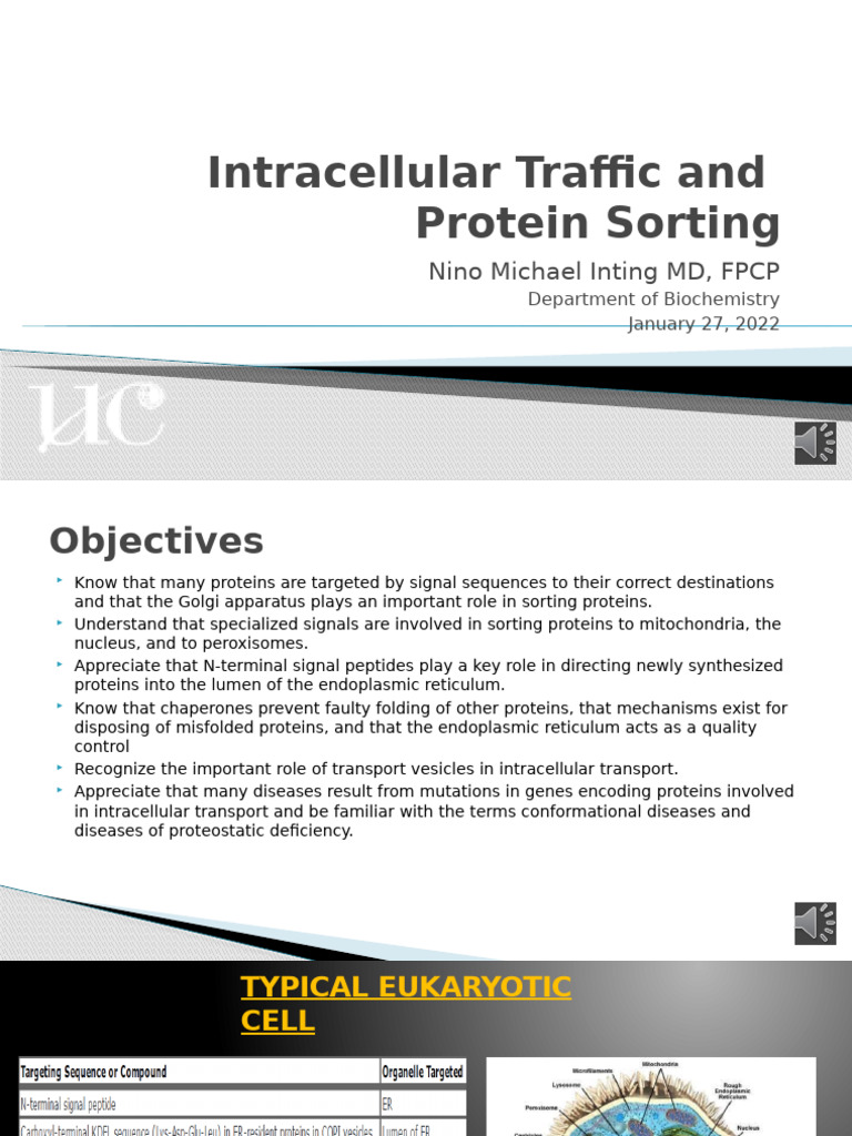 Protein Sorting and Intracellular Traffic | PDF | Protein Targeting ...