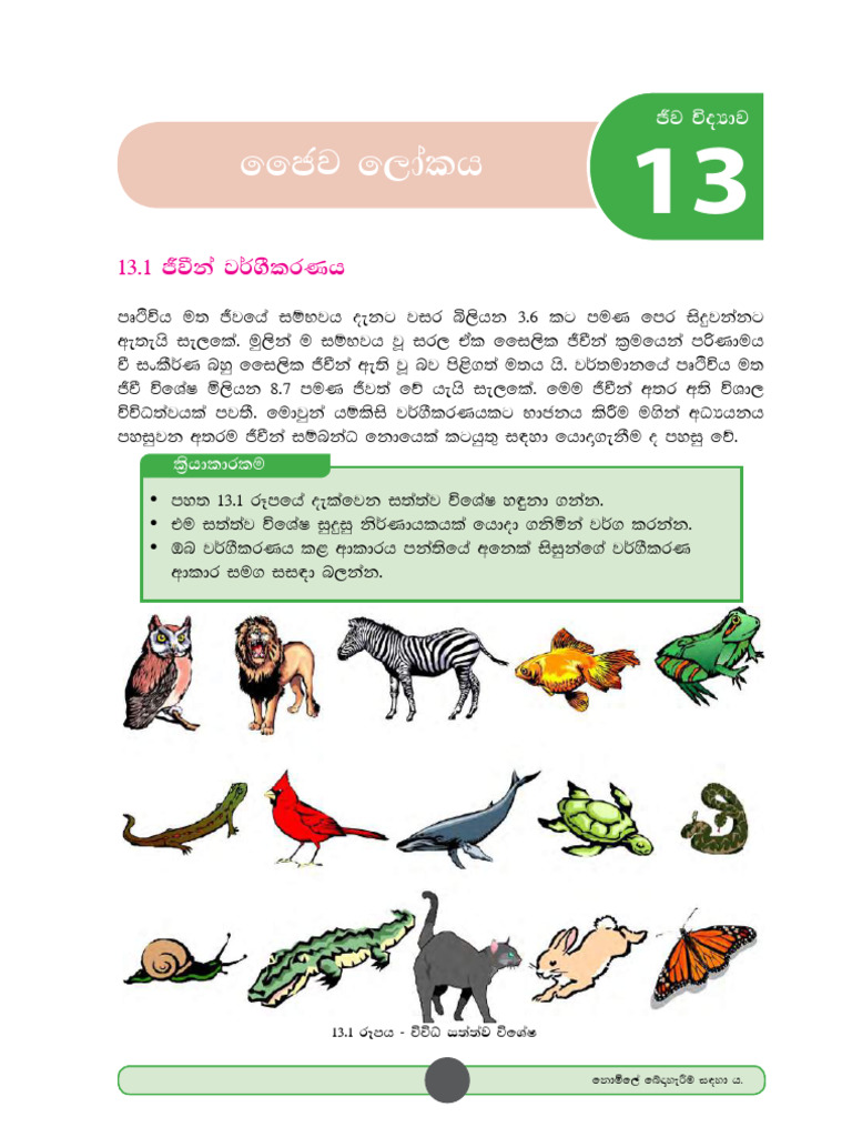 SG10 Sci Chapter 13 | PDF