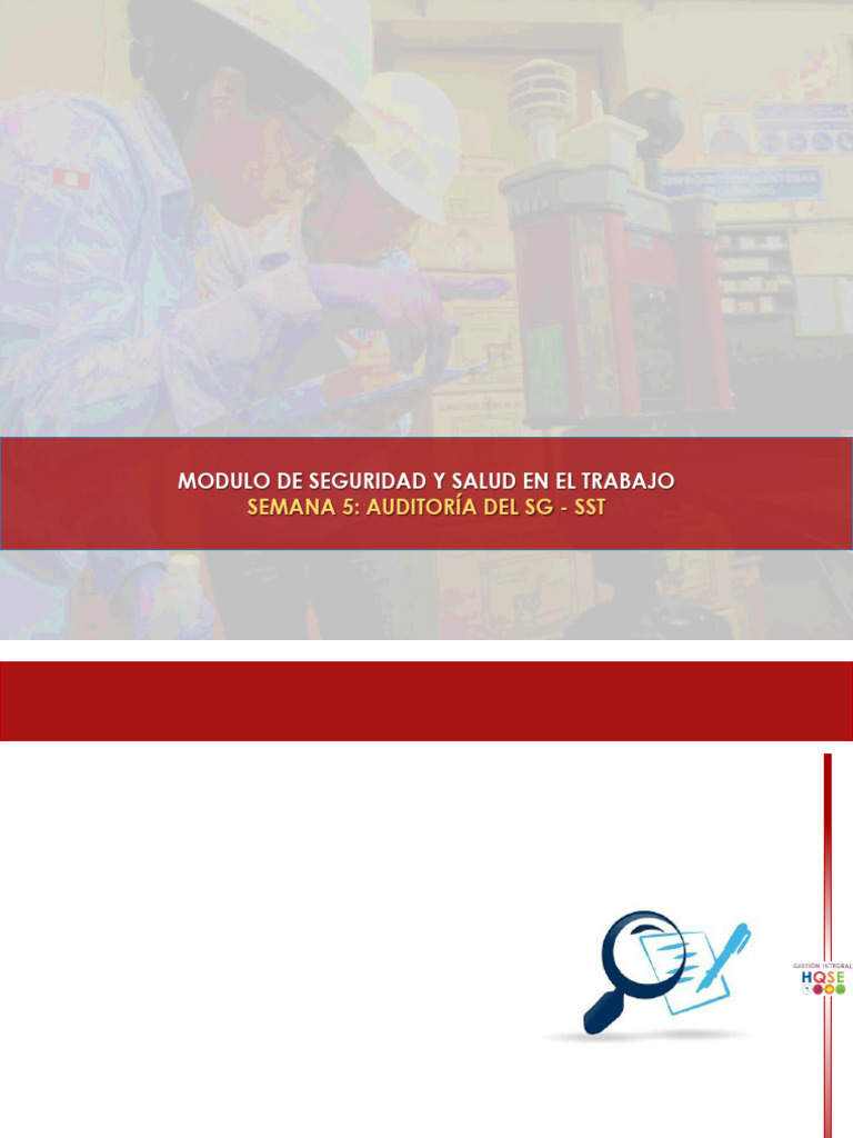 SST Auditoria | PDF | Auditoría | Contralor