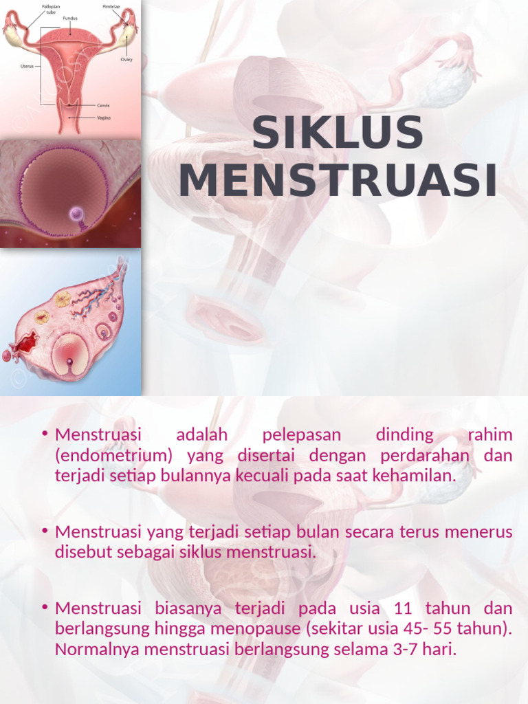 Siklus Menstruasi: Proses dan Fase | PDF
