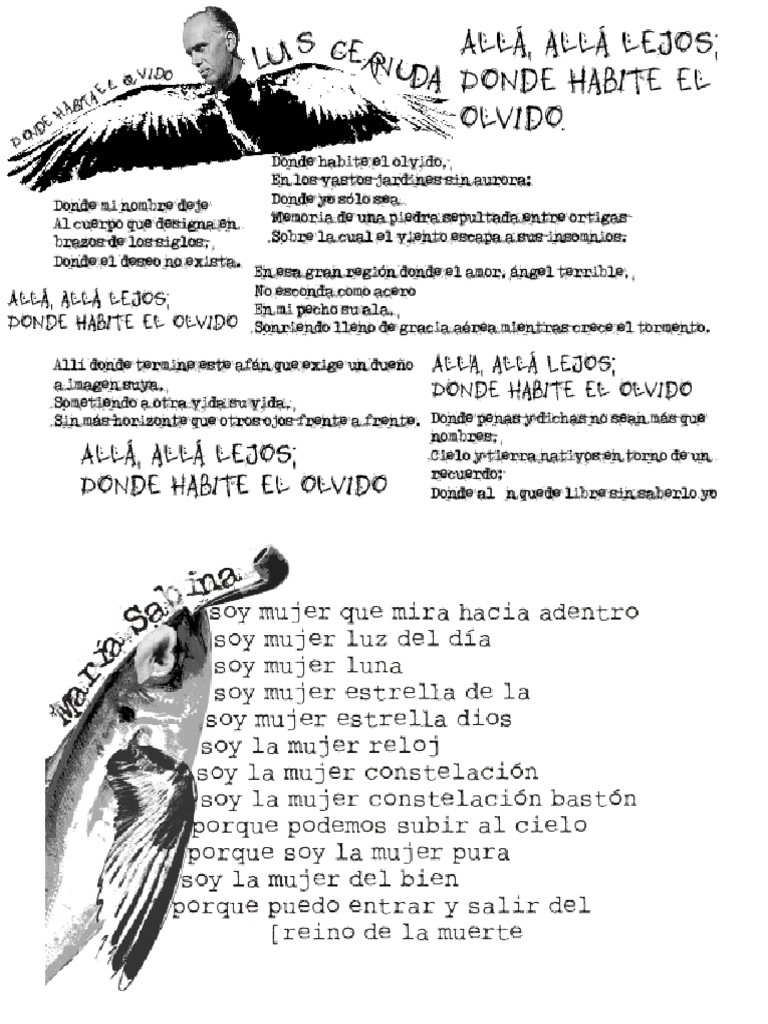 Debeer Imprimir | PDF