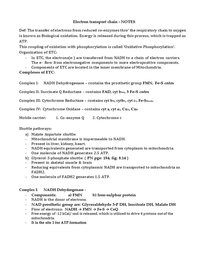 Electron Transport Chain Notes | PDF | Electron Transport Chain ...