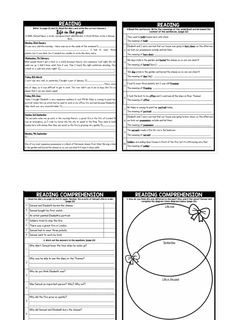Year 6 Exercise | PDF