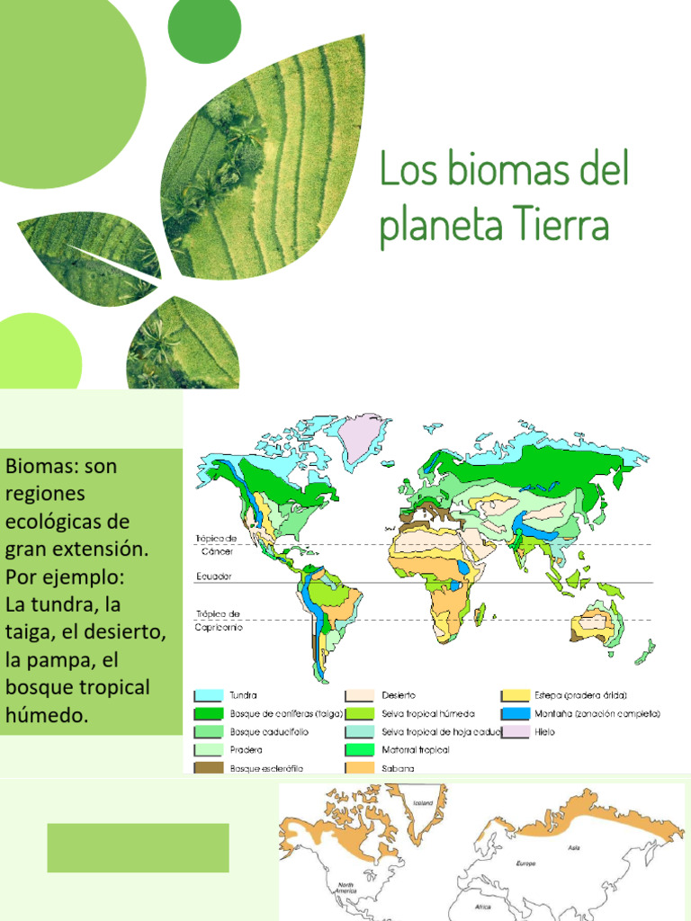 3 - Los Biomas Del Planeta Tierra | PDF | Desierto | Entorno natural