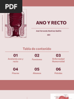 Anatomía y Fisiología Anorectal | PDF | Recto | Sistema digestivo