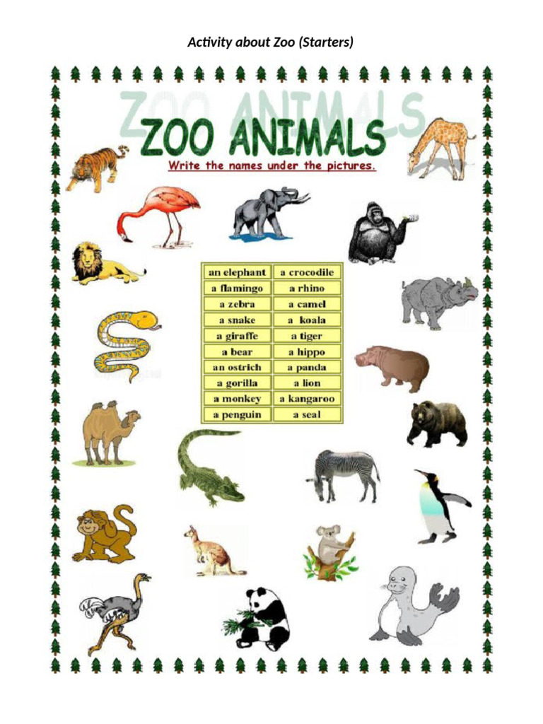 Activity About Zoo (Starters) | PDF