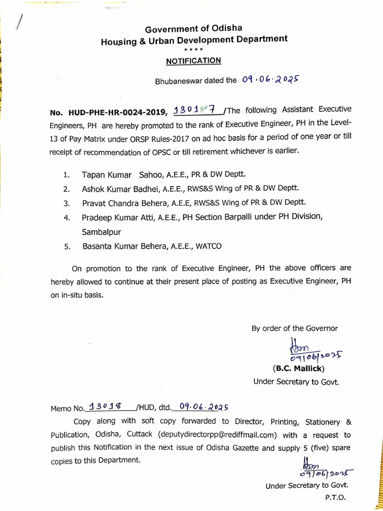 Promotion Order | PDF