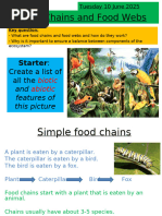 Tundra Food Chain Examples and Diagram | PDF | Foods | Ecology
