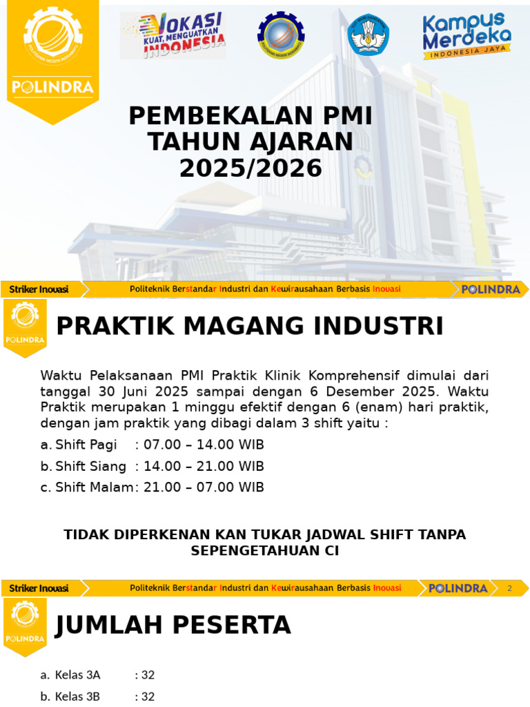 Pmi 2025 | PDF