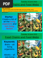 Daintree Rainforest Food Web | PDF