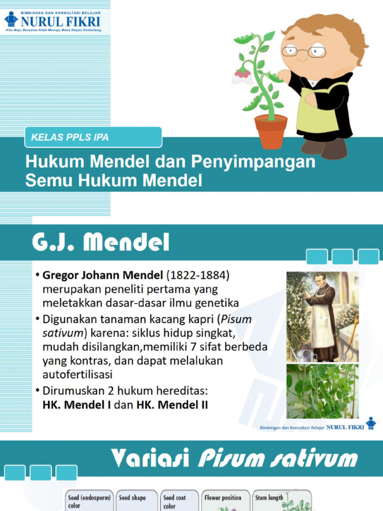 12.7 Hukum Mendel Dan Penyimpangan Hukum Mendel | PDF