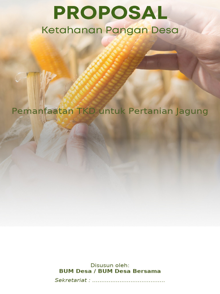 Proposal Ketapang - Pertanian Jagung | PDF
