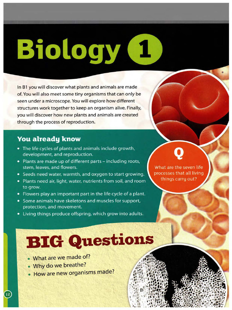 Activate Year 7 Textbook Biology | PDF | Cell (Biology) | Chloroplast