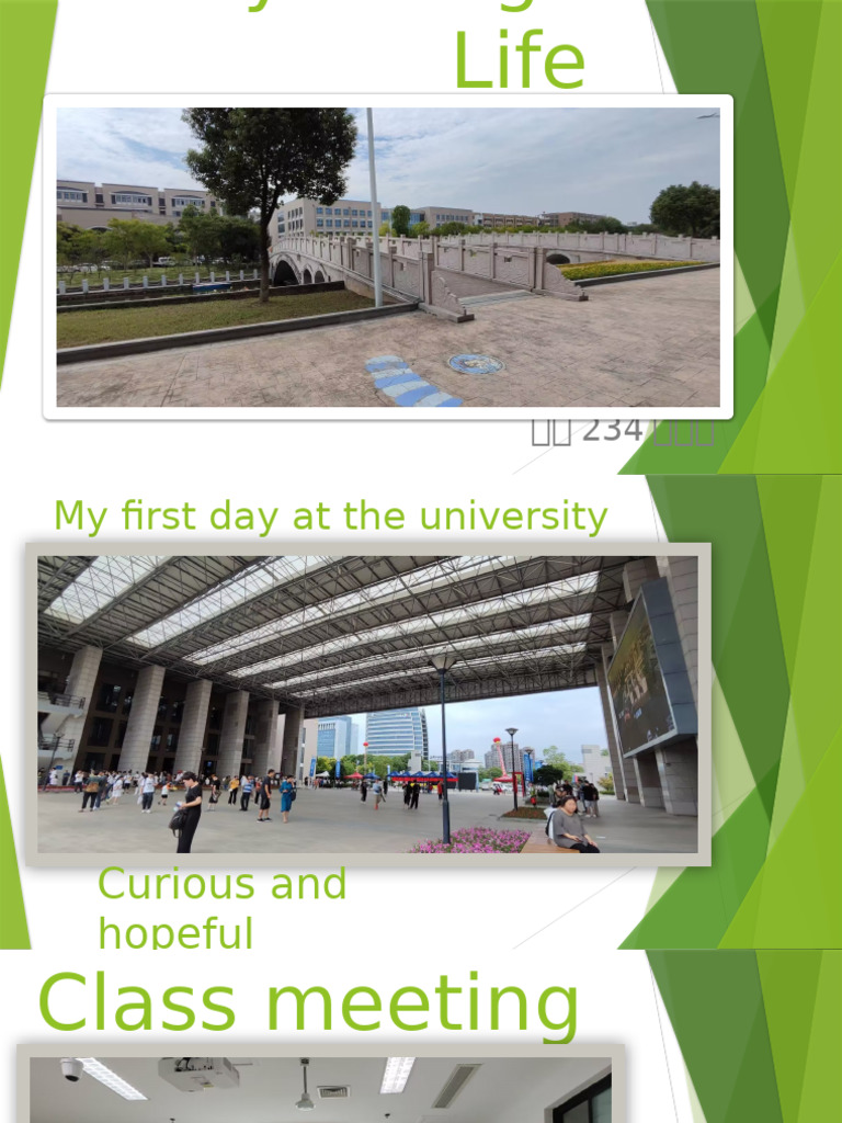 My College Life | PDF