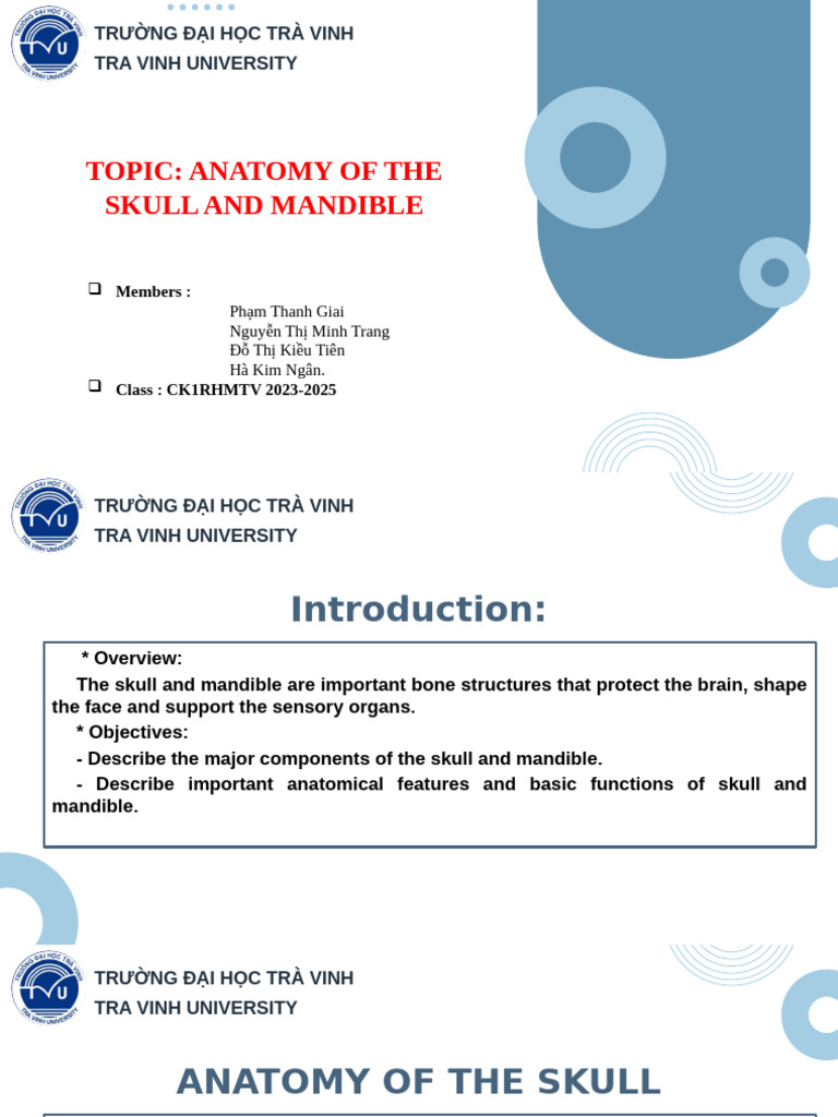 Anatomy of the Skull and Mandible | PDF | Skull | Human Nose
