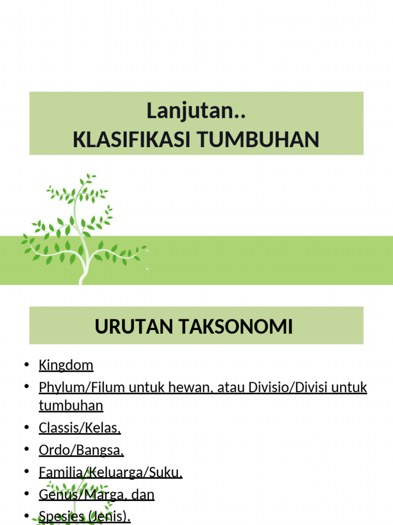 Klasifikasi dan Manfaat Tumbuhan | PDF